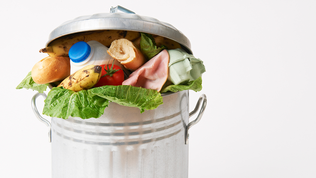 What Georgia Stands To Gain From Ending Food Waste Investor ge what-georgia-stands-to-gain-from-ending-food-waste-investor-ge